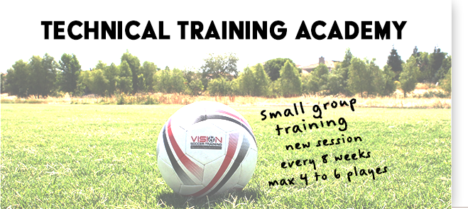 Vision Soccer Training - Professional Soccer and Futsal programs in the ...